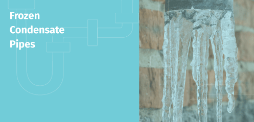How to Thaw a Frozen Boiler Condensate Pipe | Lacey Plumbing