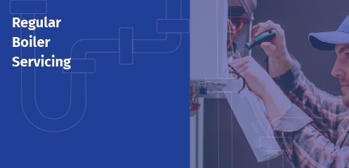 The Benefits of Regular Boiler Servicing - Lacey Plumbing
