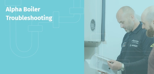 Alpha Boiler Troubleshooting | Lacey Plumbing & Heating